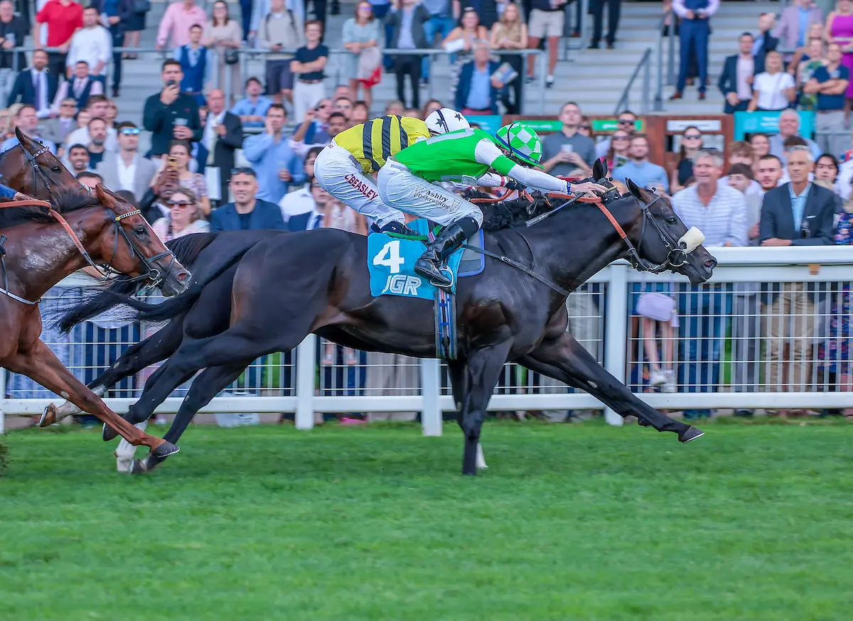 Mick Appleby eyes May return for sprint star Big Evs