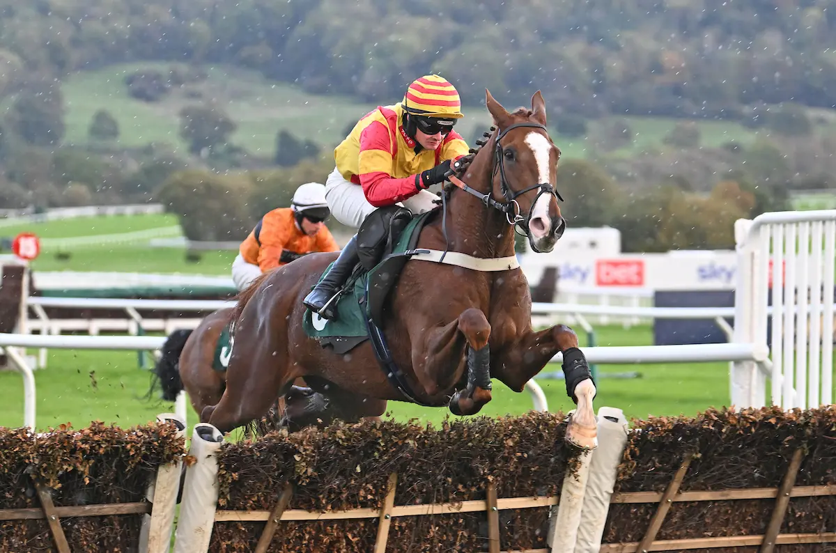 Neil King plotting Grade One route with Lookaway
