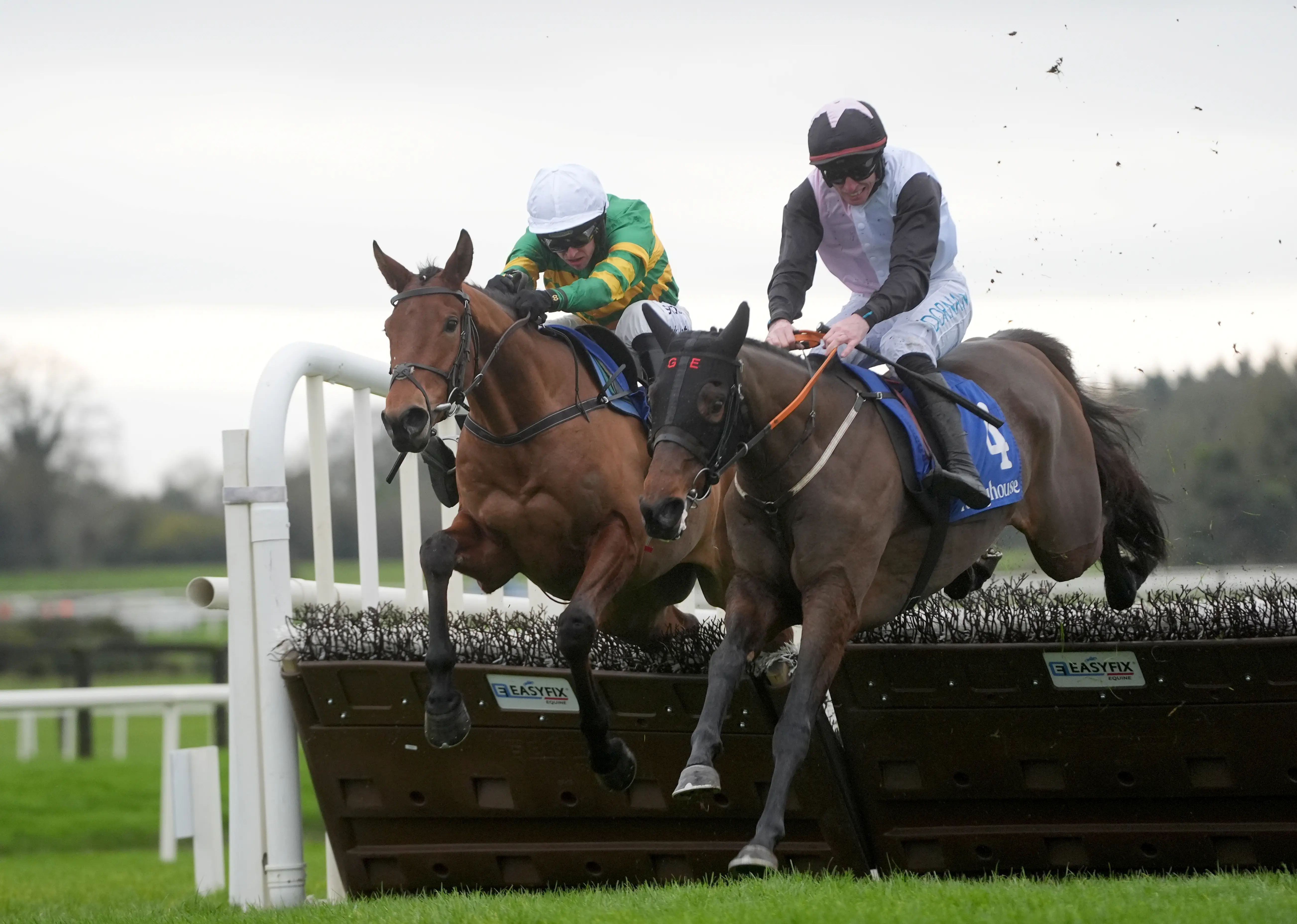 Brighterdaysahead to captain Elliott’s Leopardstown team