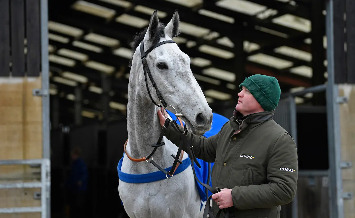 Joe Tizzard Stable Tour for the 2023/24 Jumps Season