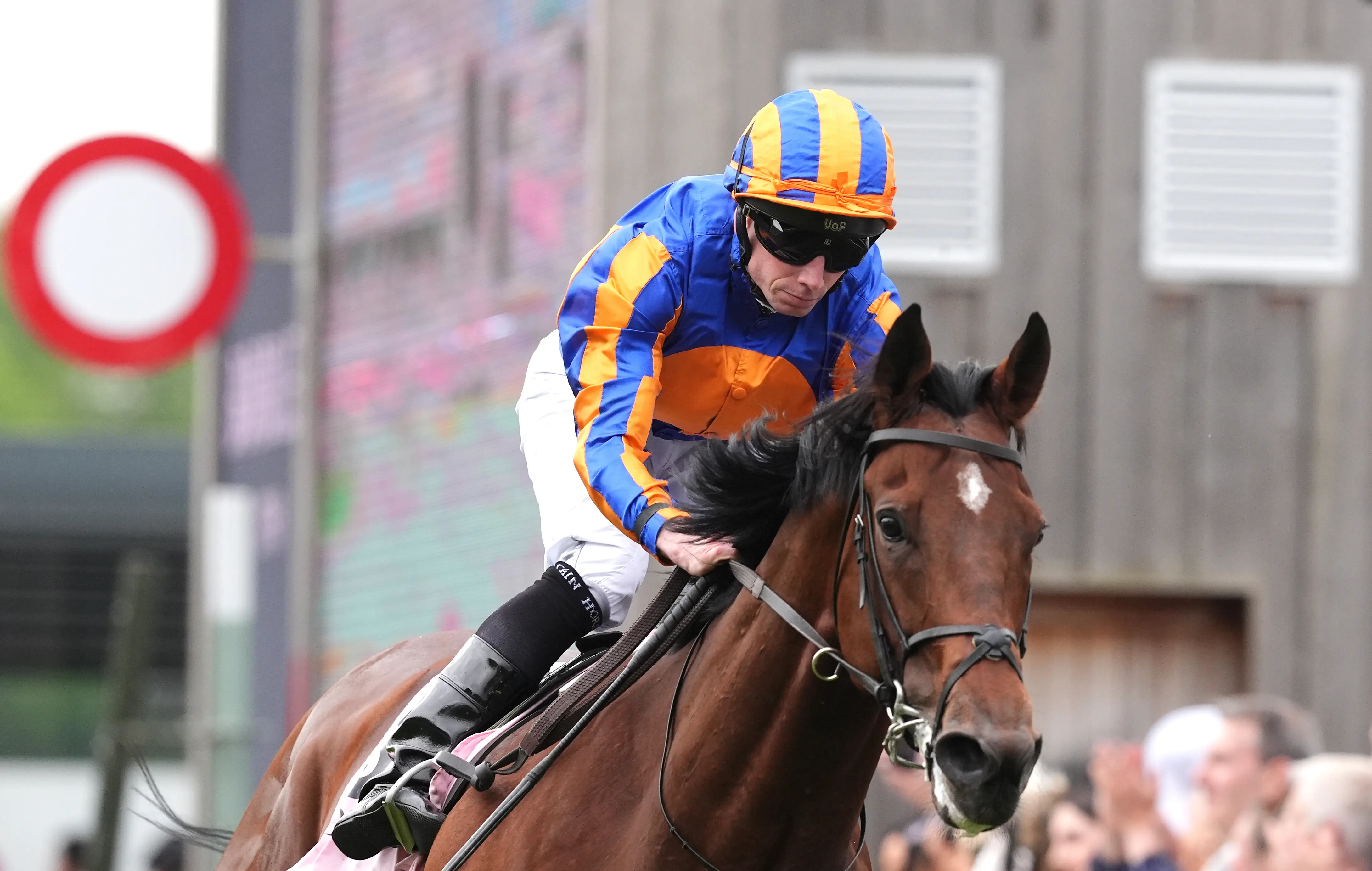 O’Brien: why French Derby is the right race for Constitution River