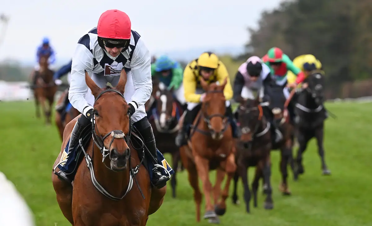 Lydia Hislop's Road To Cheltenham: Get involved before Turners market ...