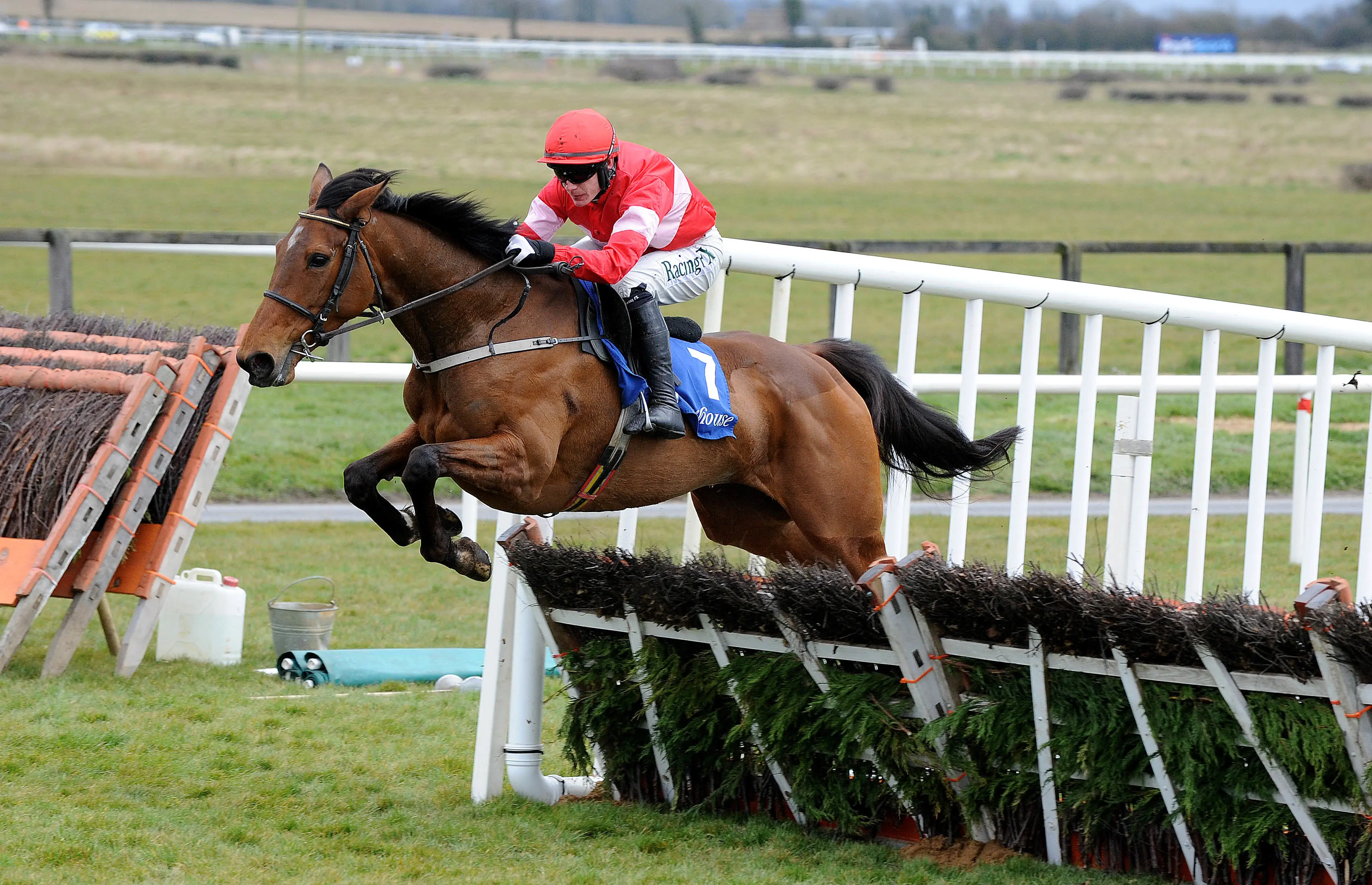 Willie Mullins excited at prospects of Chacun Pour Soi plus other ...