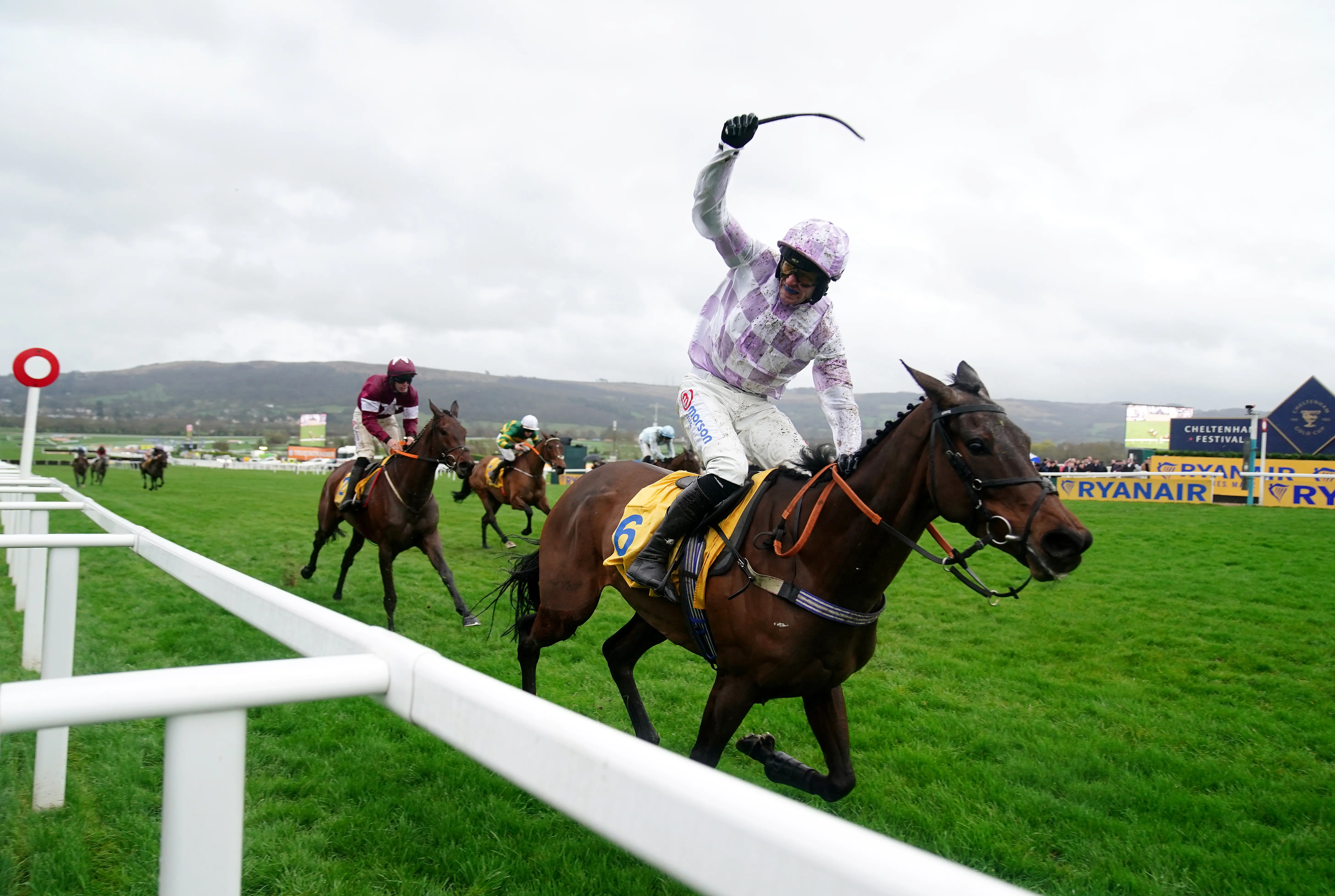 The 2025 Unibet Champion Hurdle: guide to the leading entries
