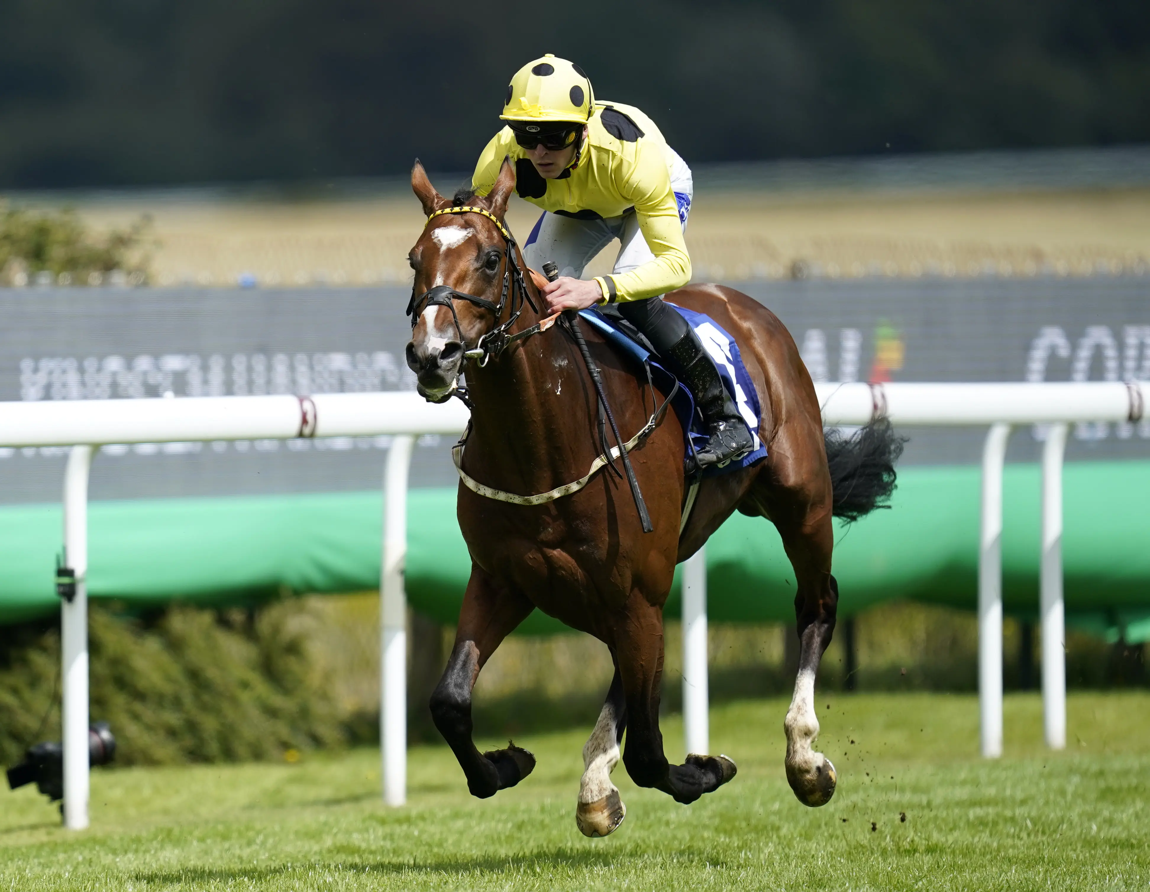 Huxley Stakes: Passenger embarks on ‘exciting year’ at Chester
