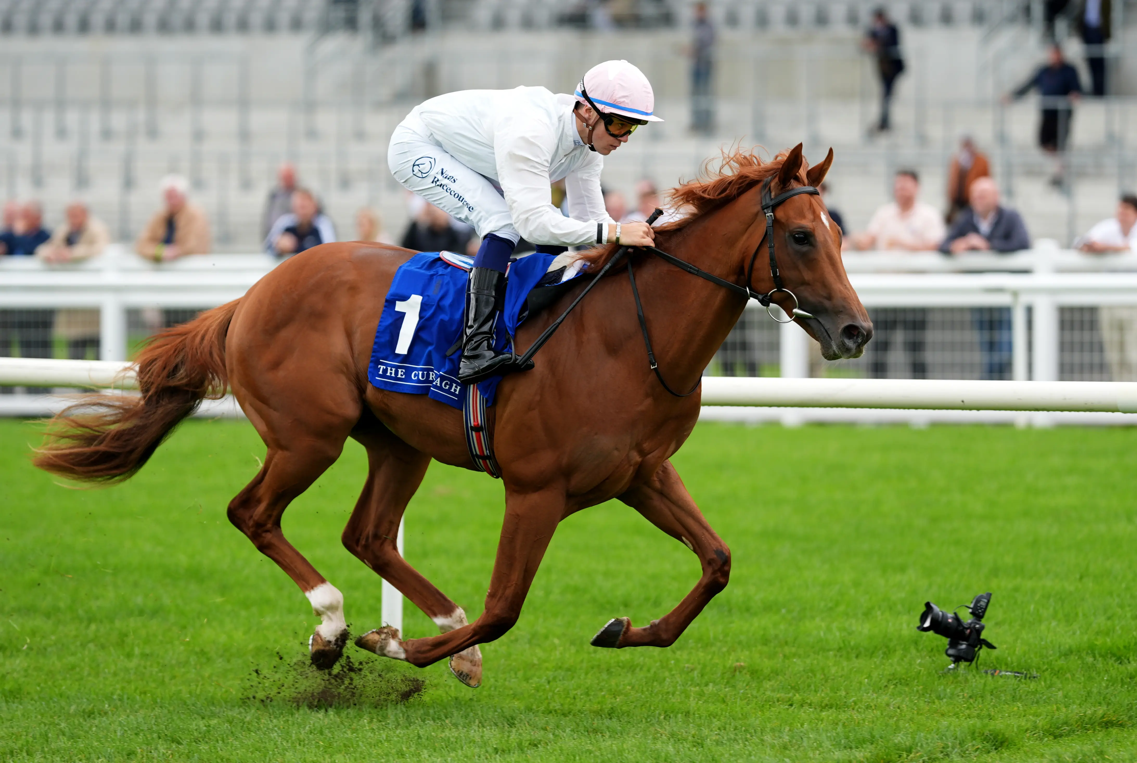 Debutant The Lion In Winter creates big impression for Aidan O’Brien