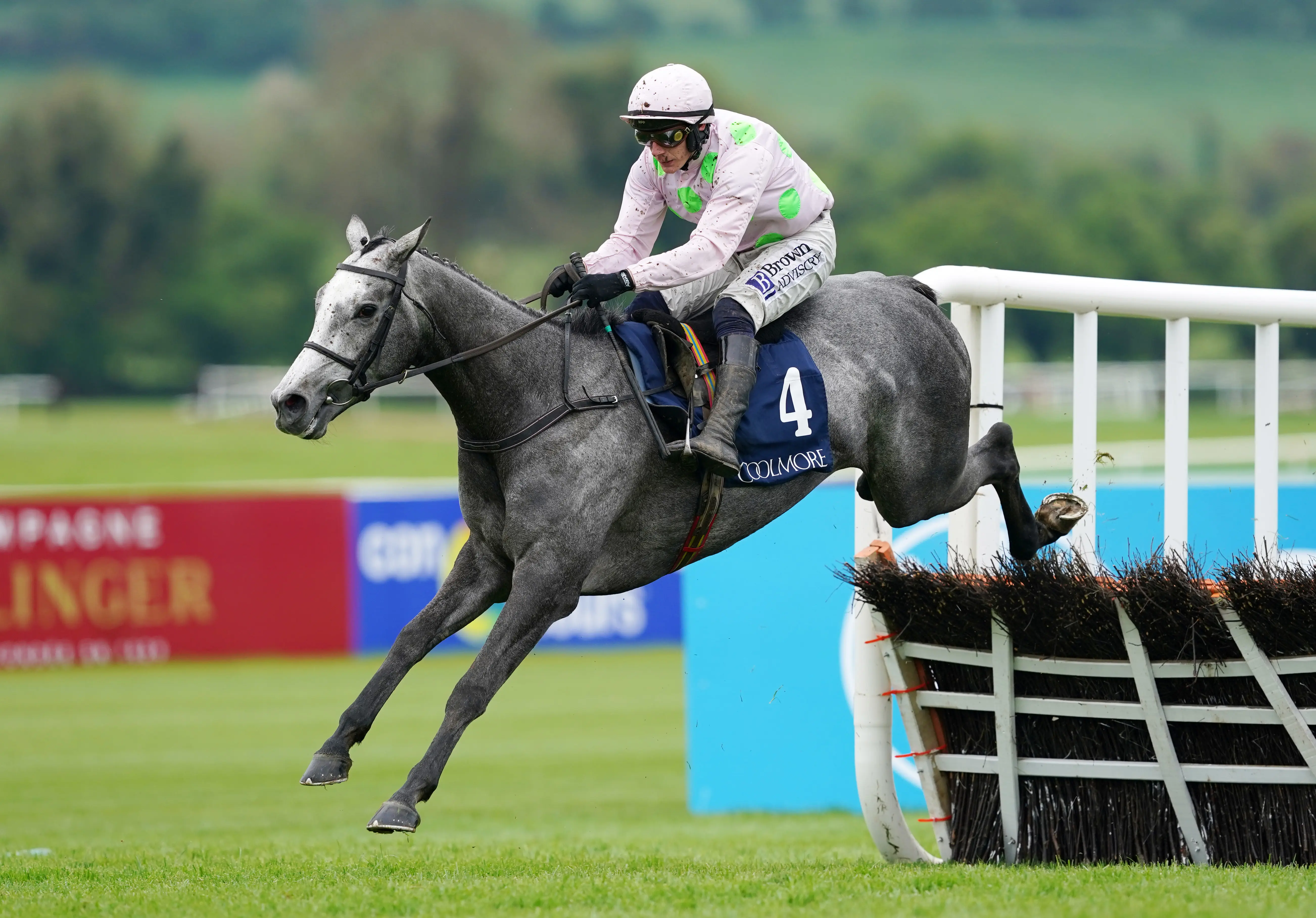 Dublin Racing Festival: read about star entries for this weekend