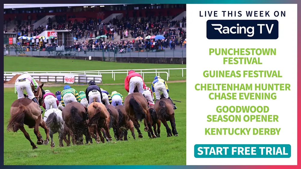 Today's Horse Racing News & Results | Racing TV