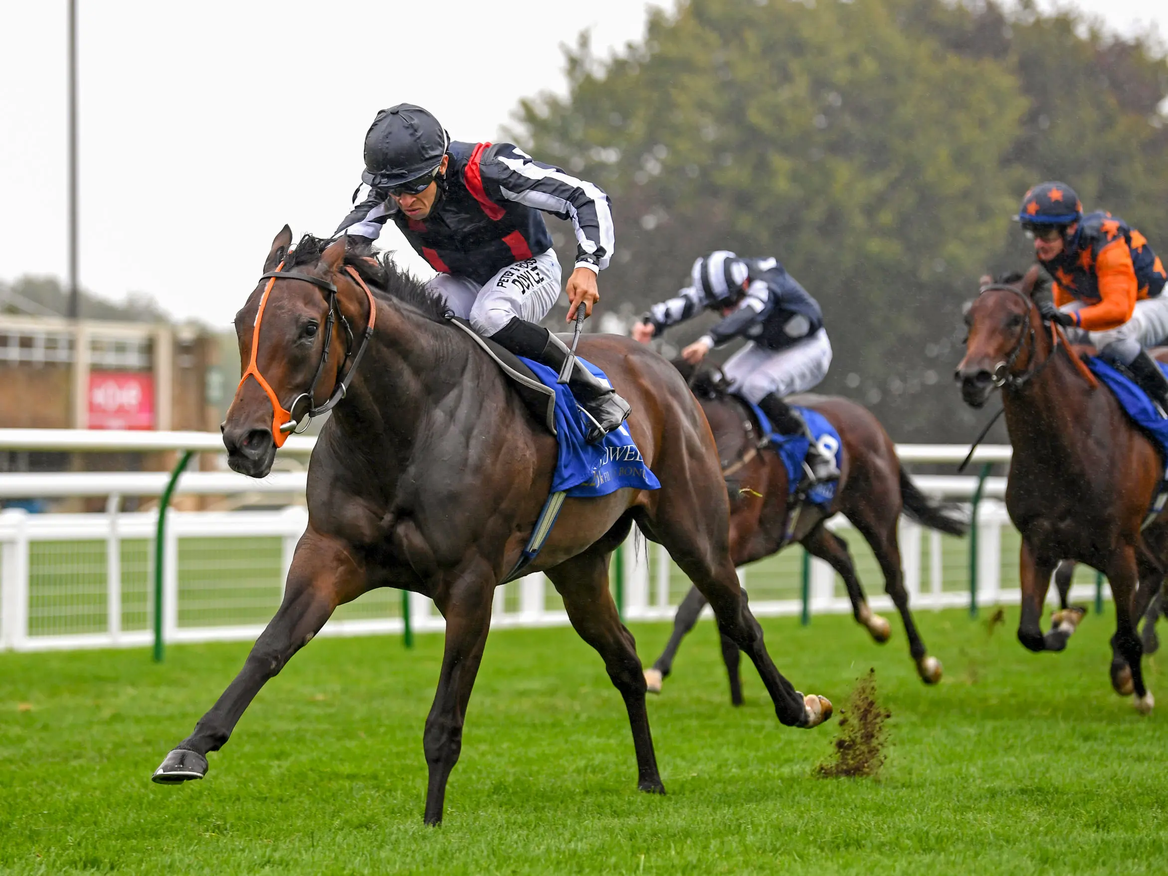 Katie Midwinter's guide and tips for Saturday's races