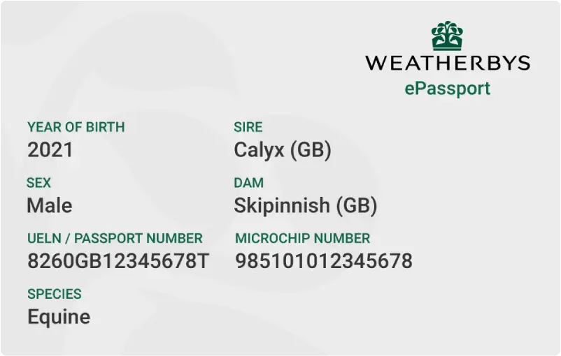 Foal becomes the first to be issued with Weatherbys ePassport