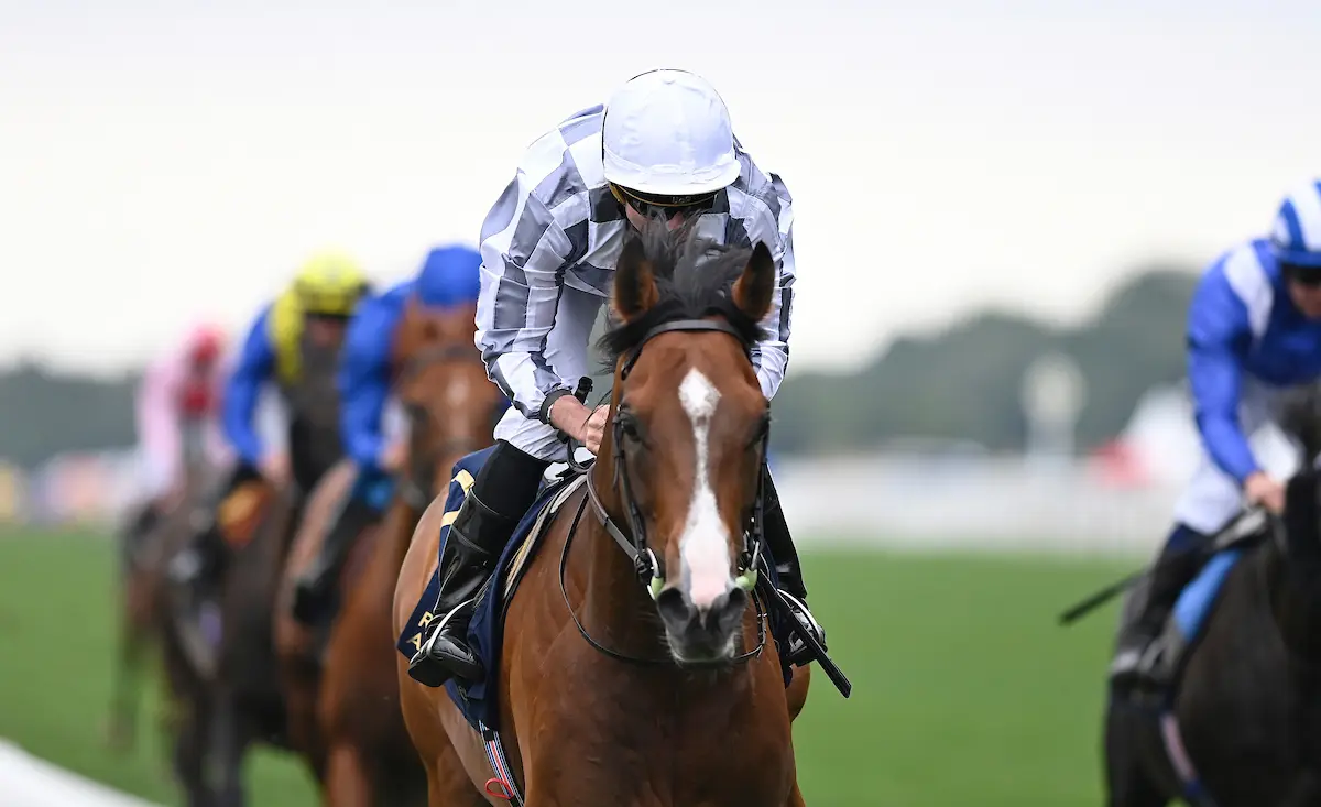 Yorkshire Cup: Aidan O’Brien bids for first with Broome