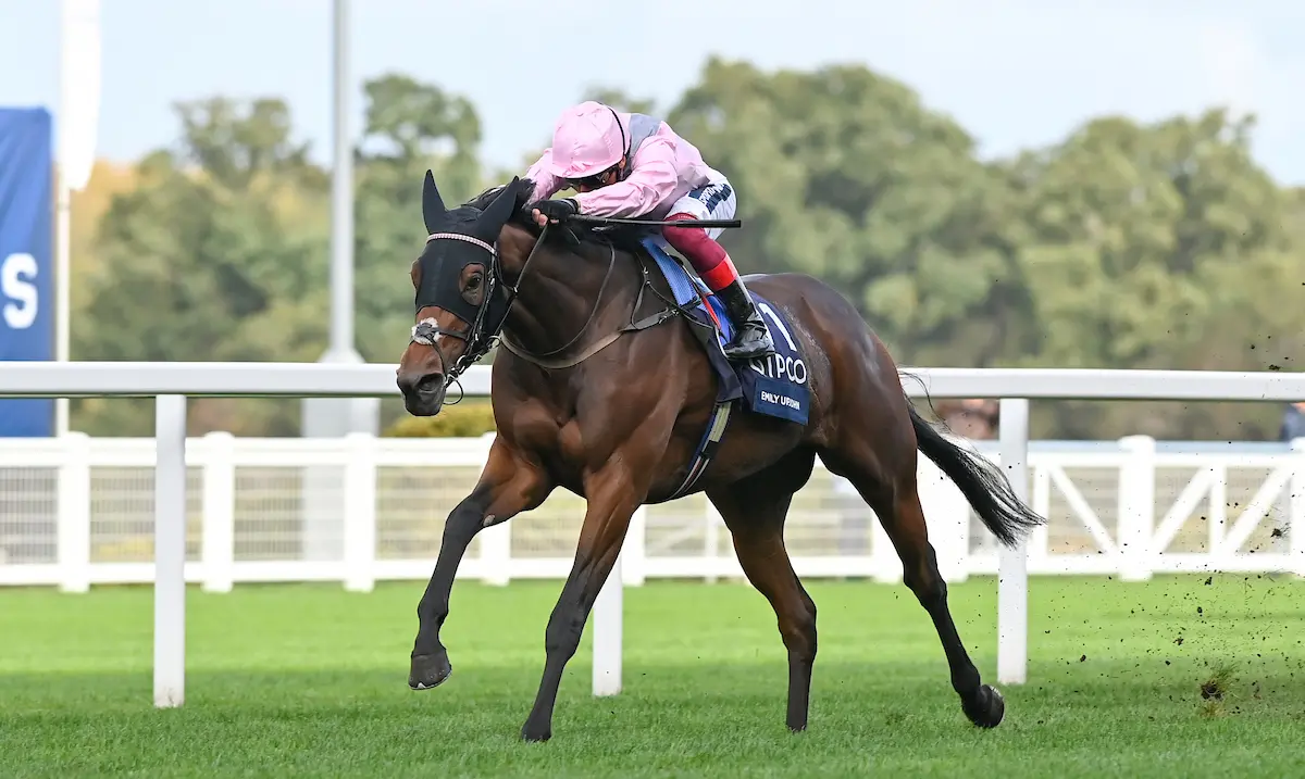 Racing TV presenters and pundits Flat horses to follow