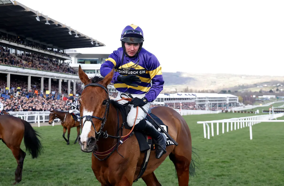 Grand National: Corach Rambler will be "up for the challenge"
