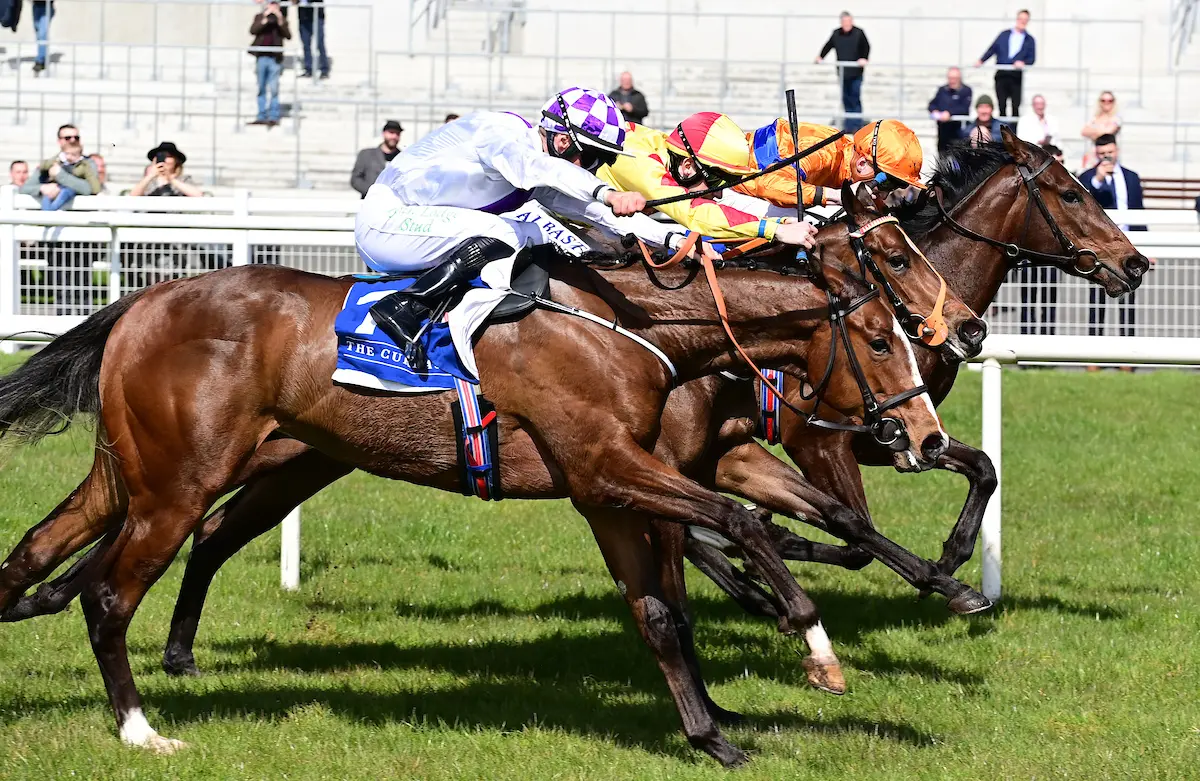 The Irish Angle: Johnny Ward's best three bets for Sunday