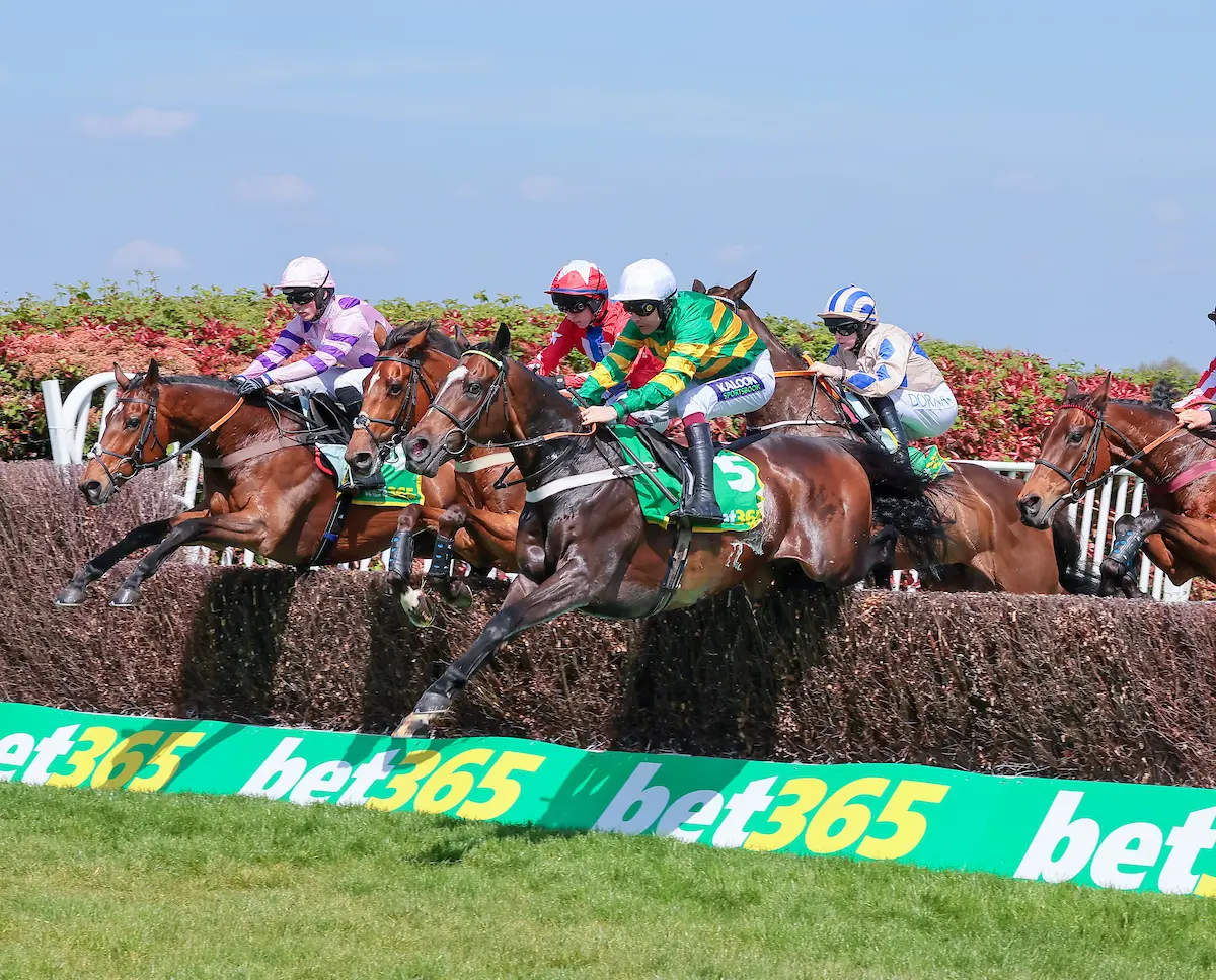 Jonbon survives scares en route to Celebration Chase success