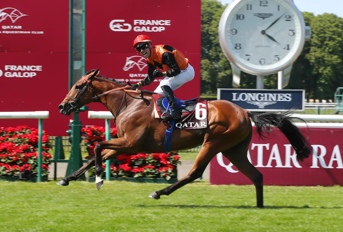 2023 Prix de l'Arc de Triomphe: big-race guide and tip