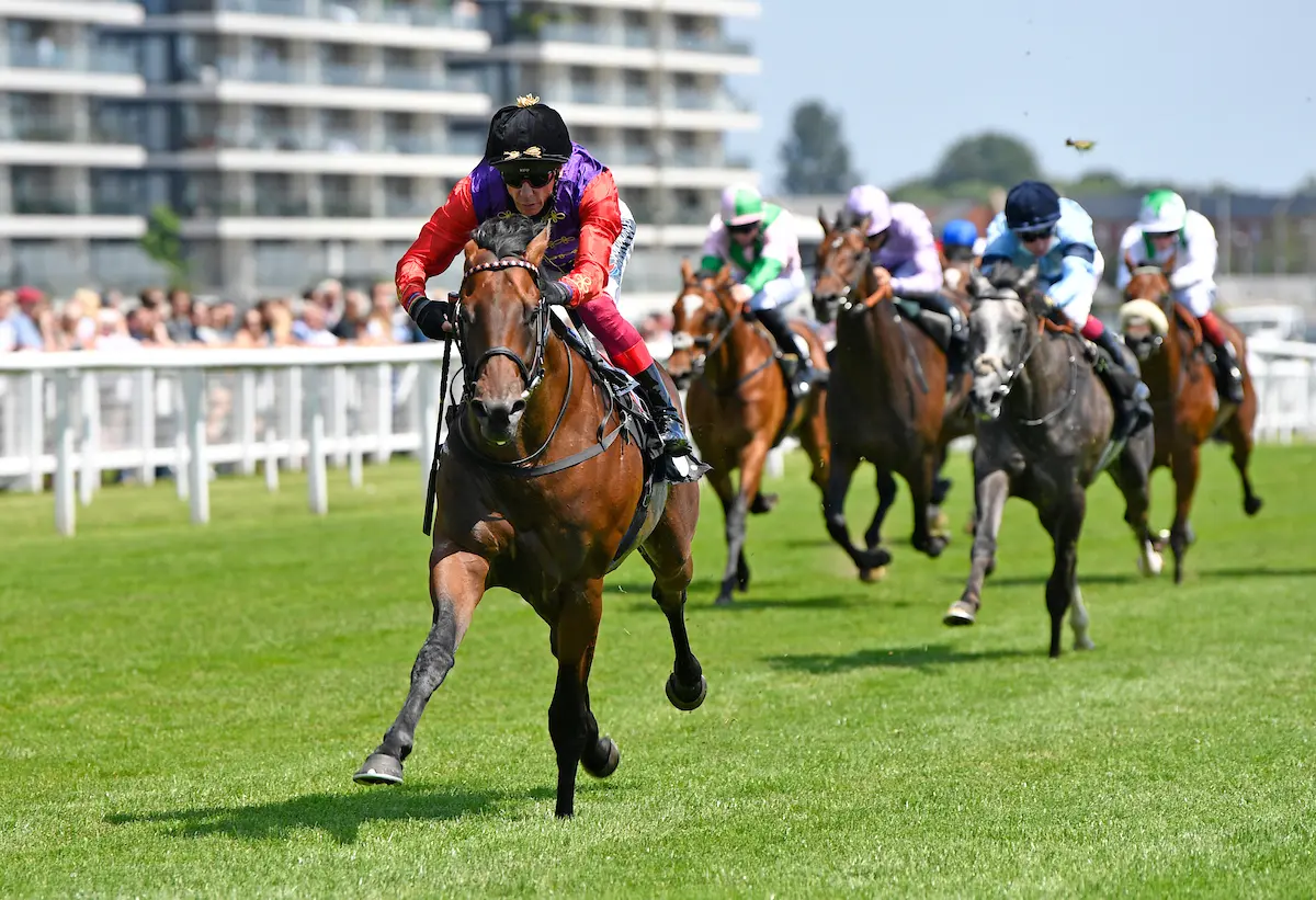 John Warren: a guide to the Royal runners at Royal Ascot