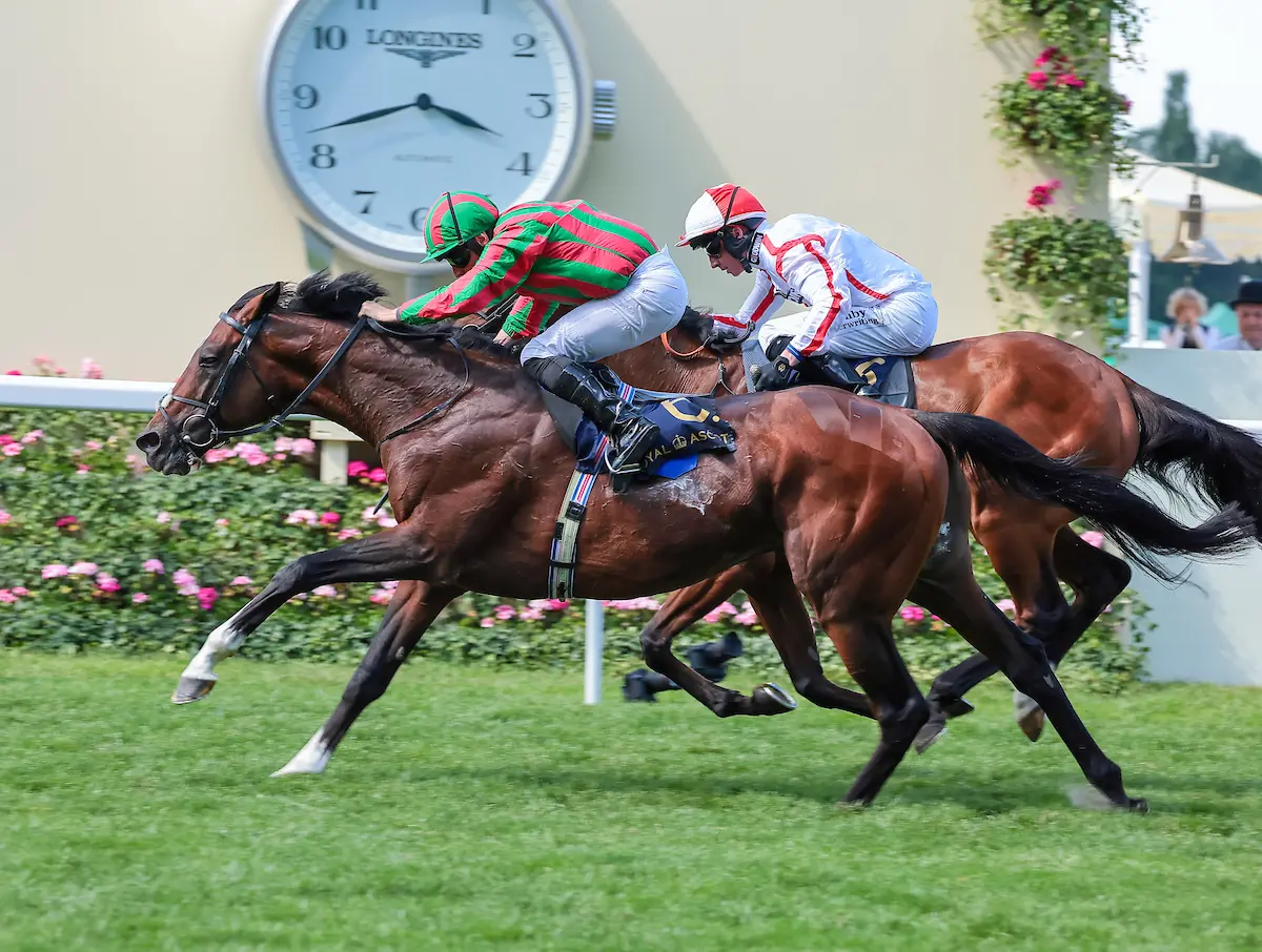 Okita Soushi digs deep to land Duke of Edinburgh