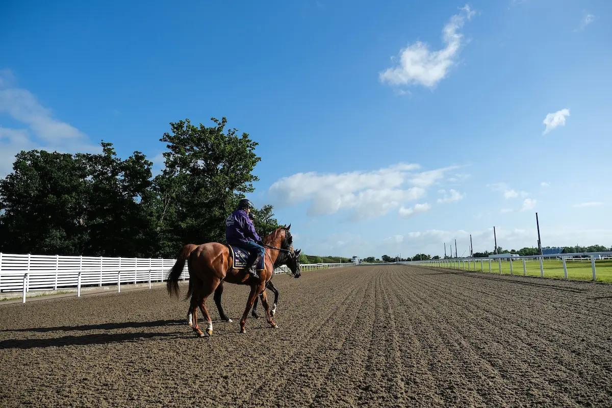 Saturday at Chelmsford: a race-by-race guide
