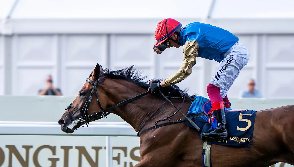 Goodwood Cup: Owners favouring Gregory over Courage Mon Ami