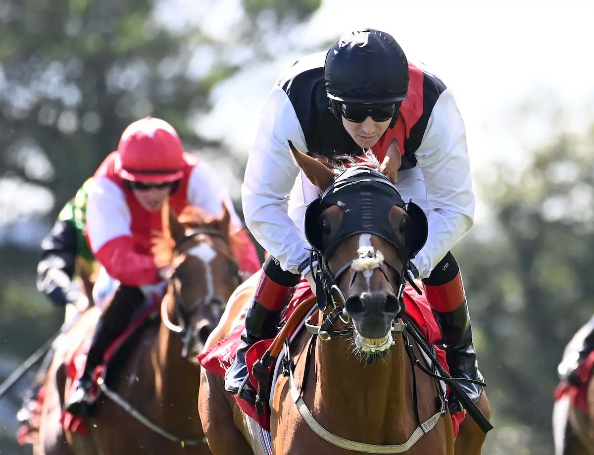 Johnny Ward's top tips for the final day of the Galway Festival