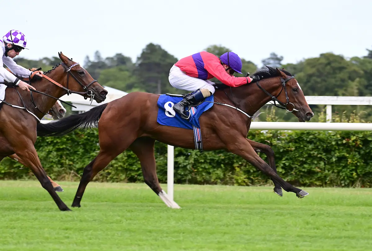 Bahrain Turf Club Desmond Stakes: big-race guide and tip