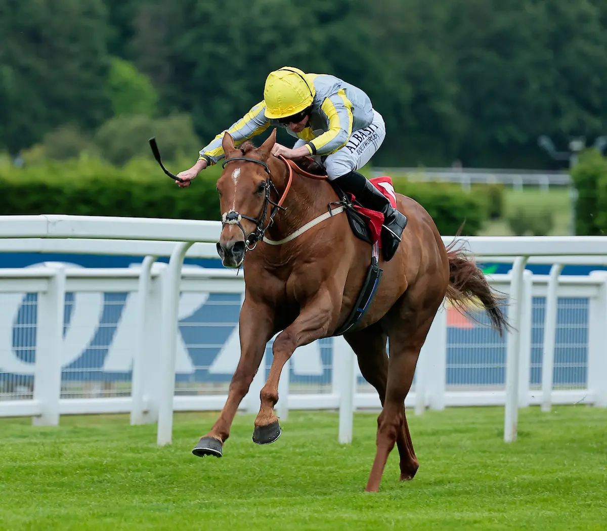 Jump Jockeys Derby at Epsom: "It does test us boys a bit”