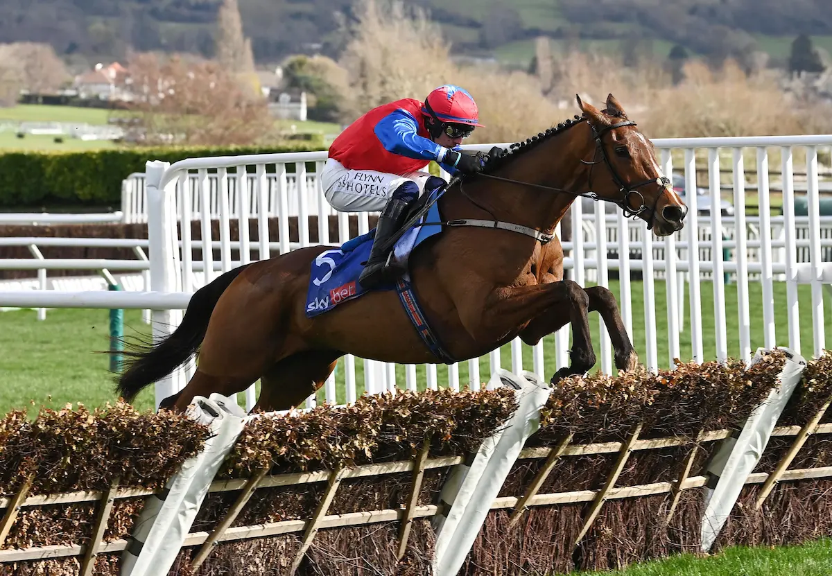 Racing TV's presenters and pundits Jumps horses to follow