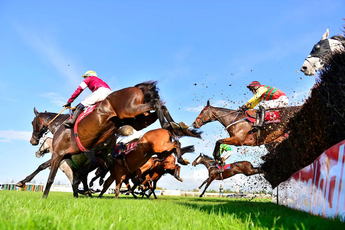 The Irish Angle: Johnny Ward's top tips for Sunday