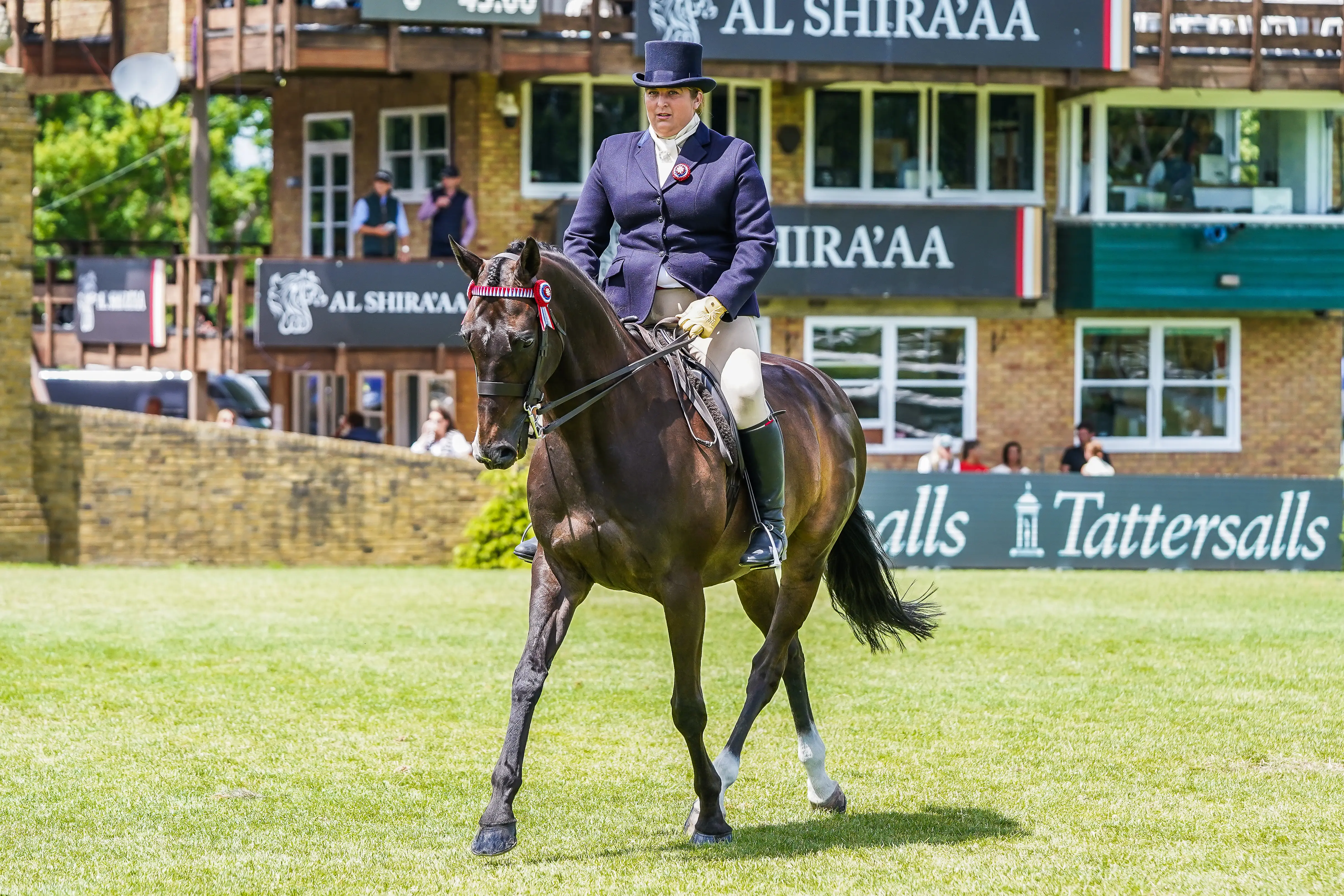 RoR Invites Nominations for two prestigious Awards for former racehorses