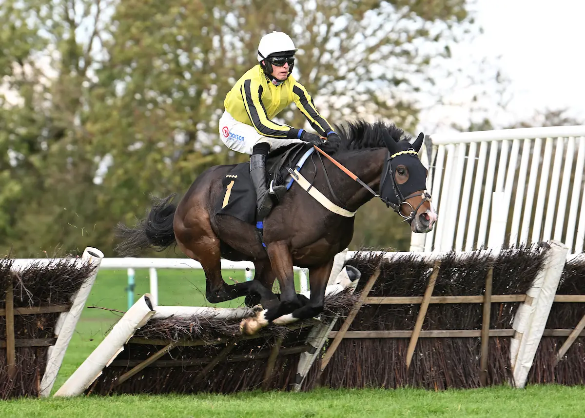 Cobden impressed as Burdett Road makes winning hurdles debut