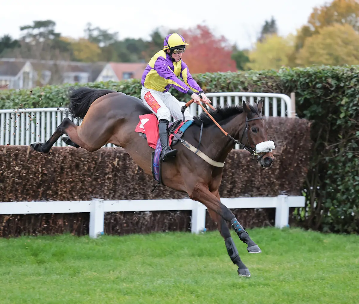 Sandown wrap: Grade One aim for Le Patron