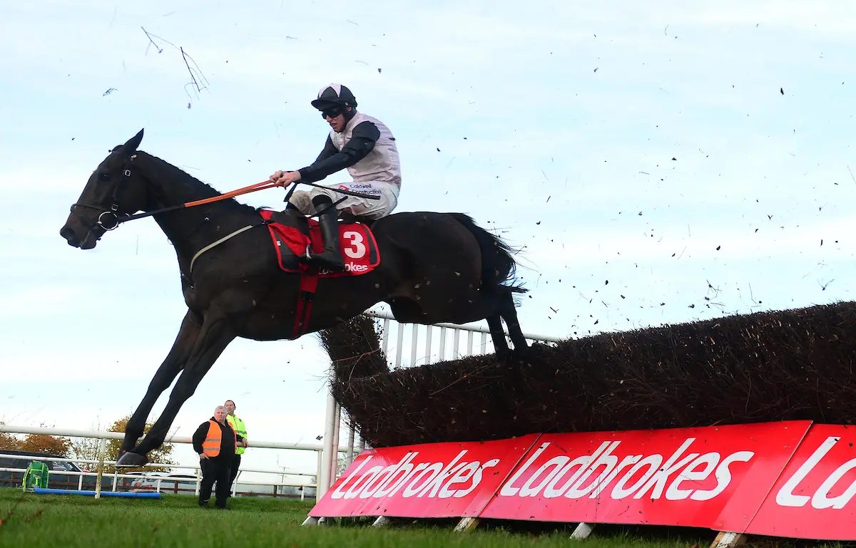 2024 Ladbrokes Champion Chase: runner-by-runner guide and tip