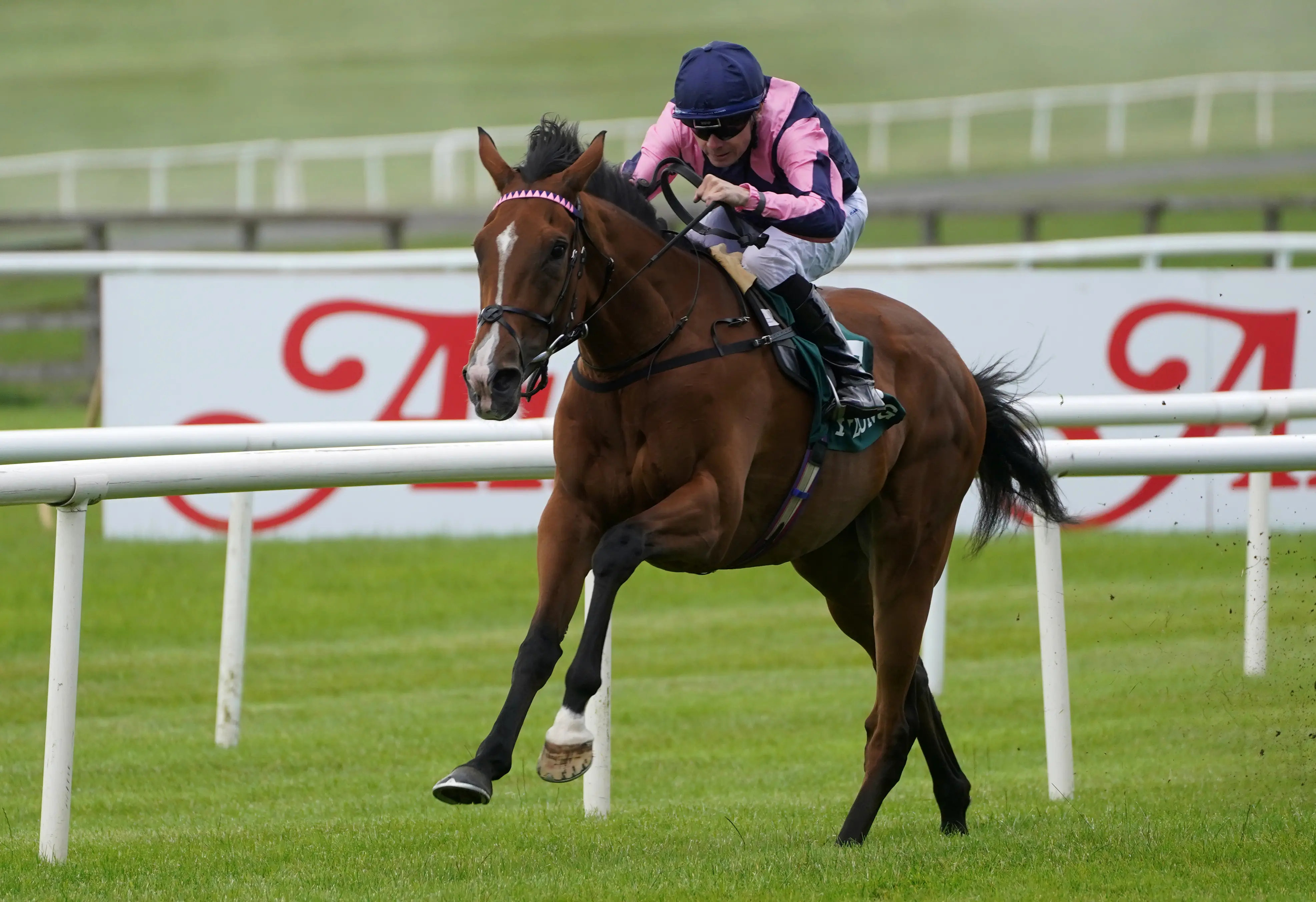 Teona and Via Sistina star in December Mares Sale
