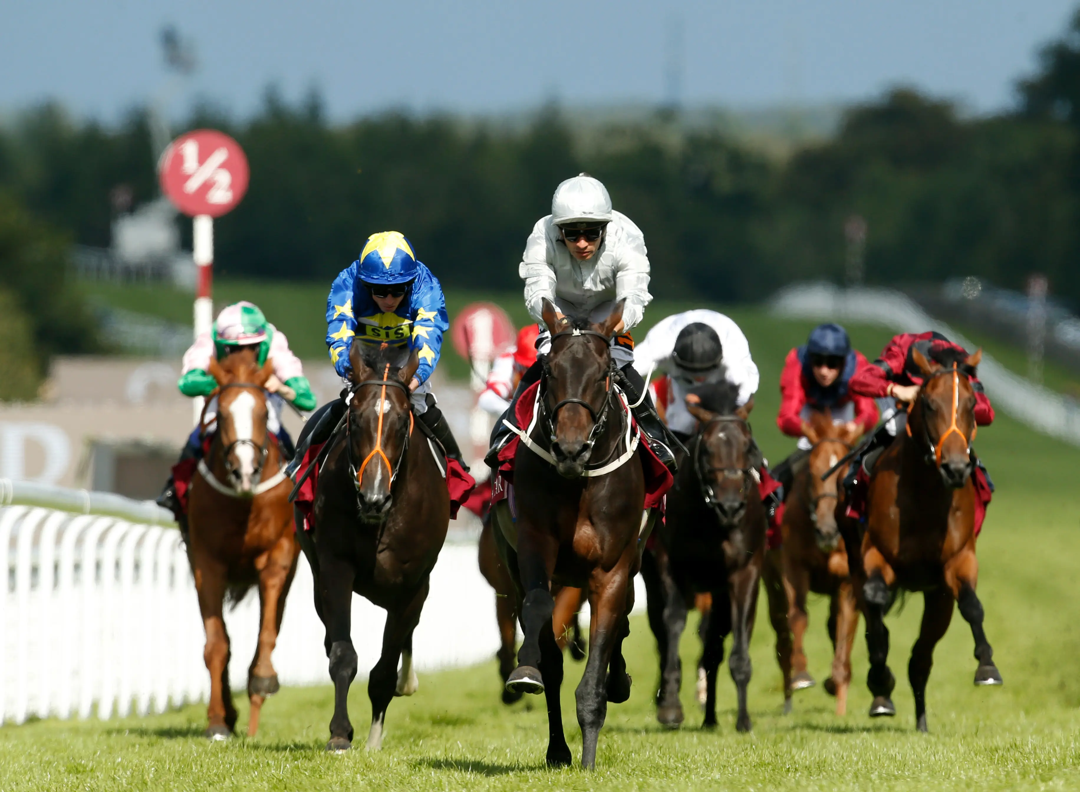 Irish Derby: Dee Ex Bee expected to be suited by demands of the Curragh