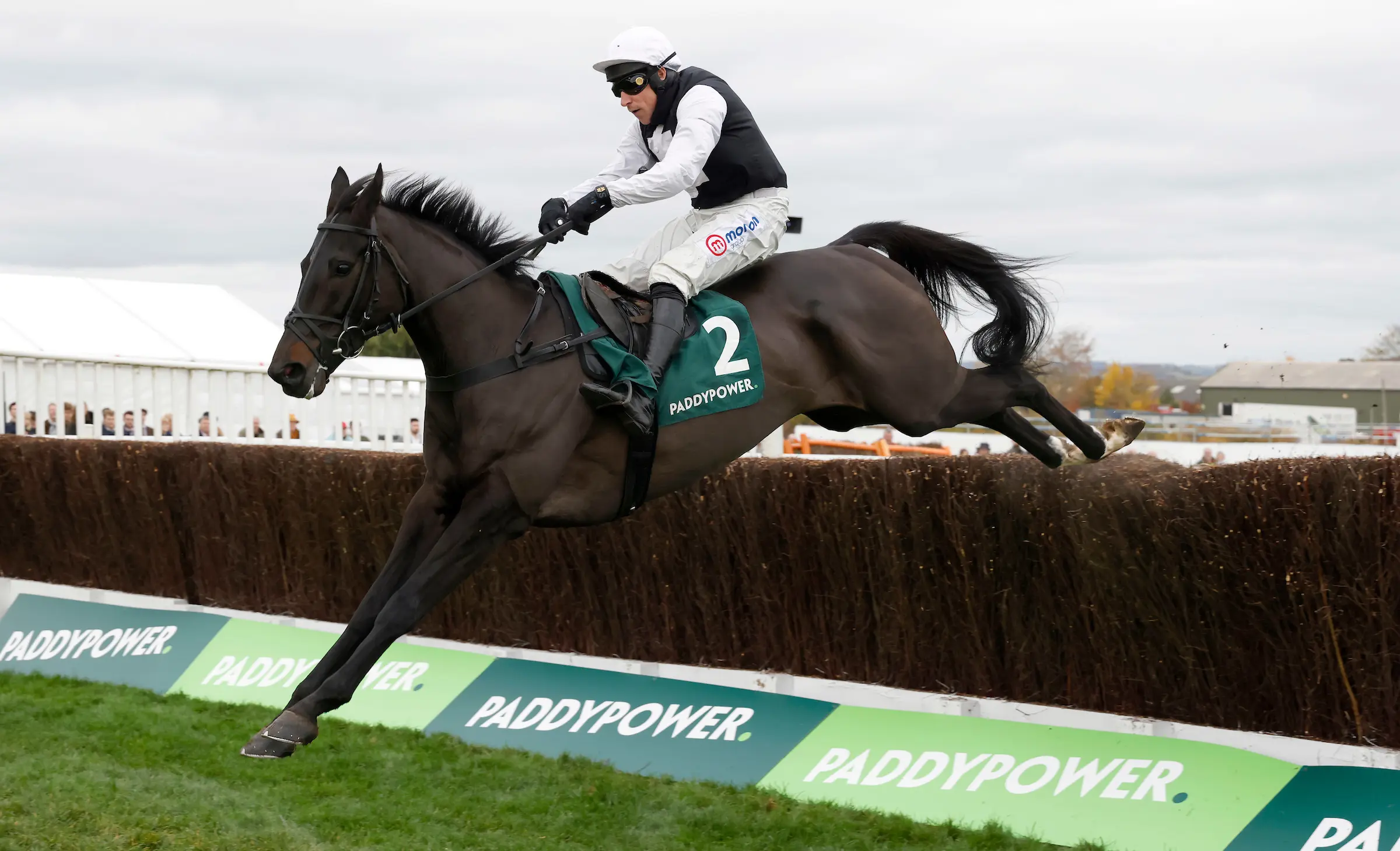 Third Time Lucki has "massive chance" in Haldon Gold Cup