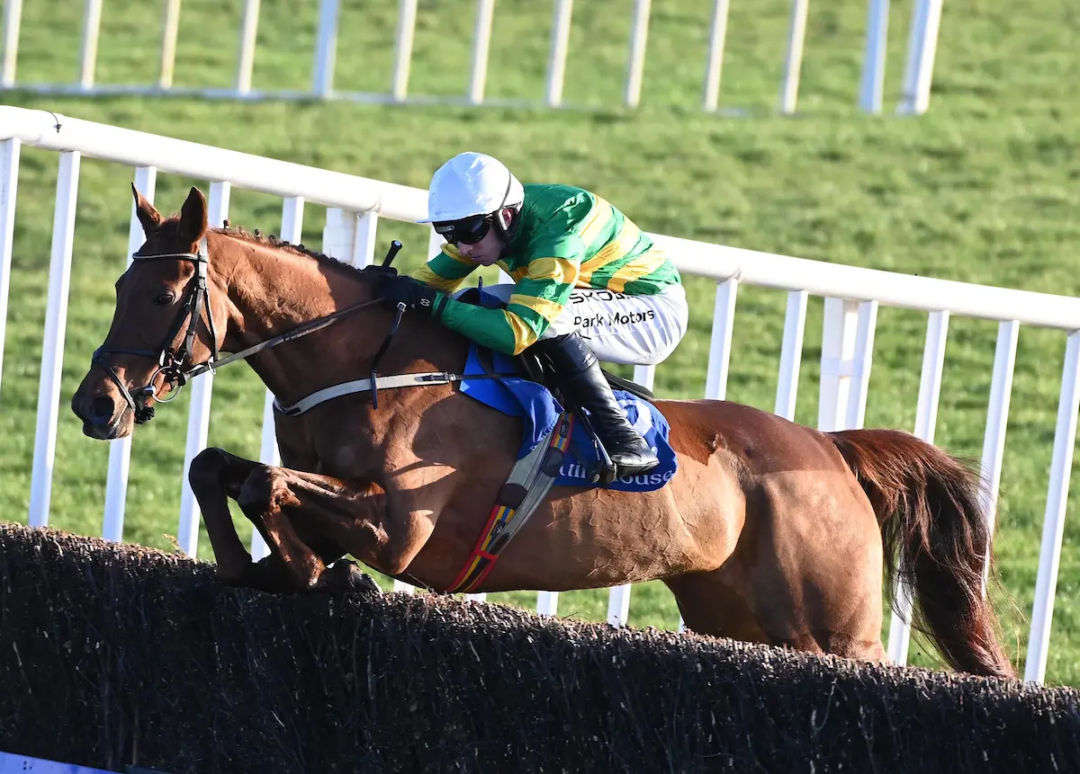 Dinoblue shrugs off last-fence drama in Fairyhouse victory