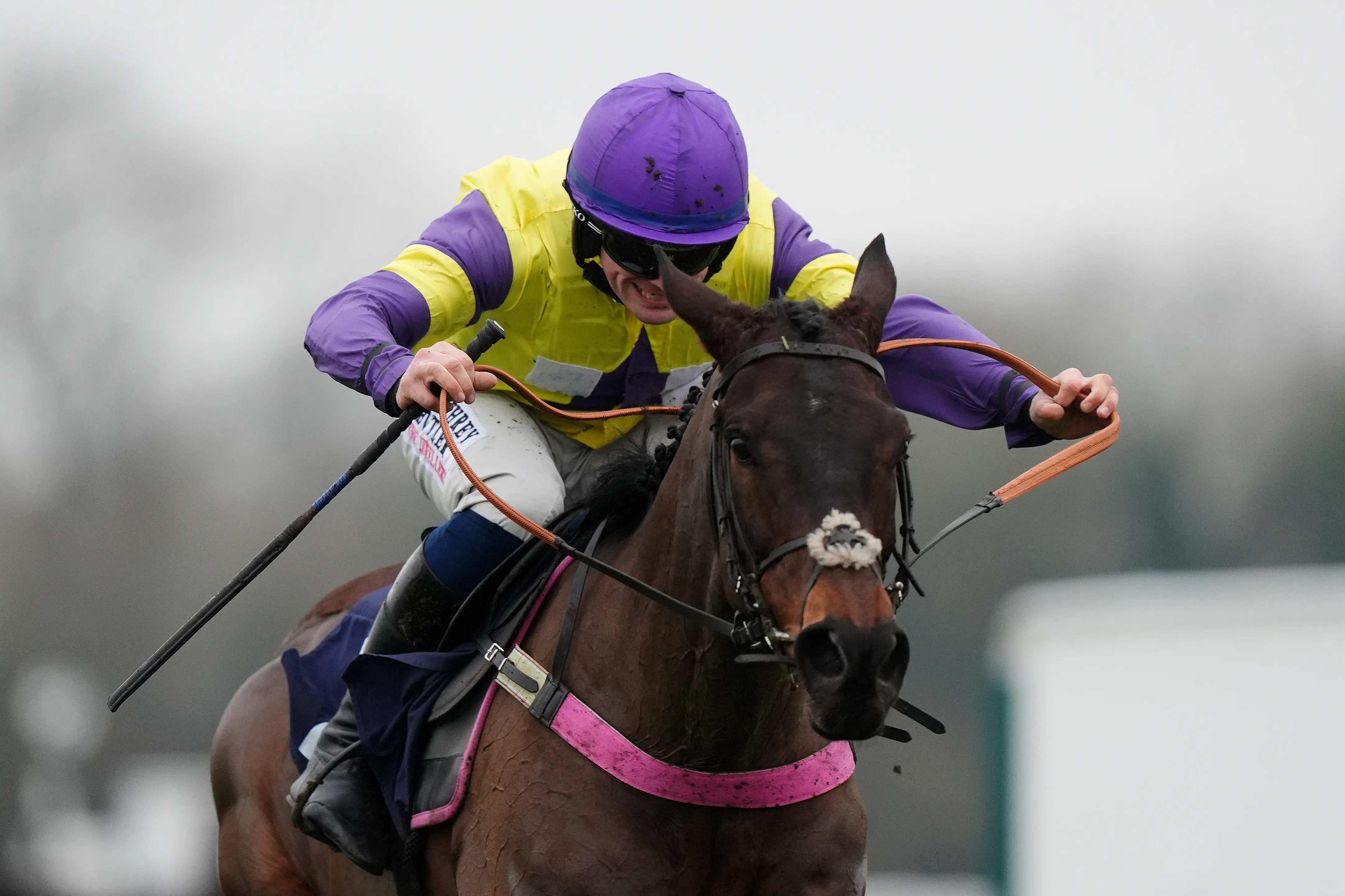 Nemean Lion raring to go ahead for Windsor defence