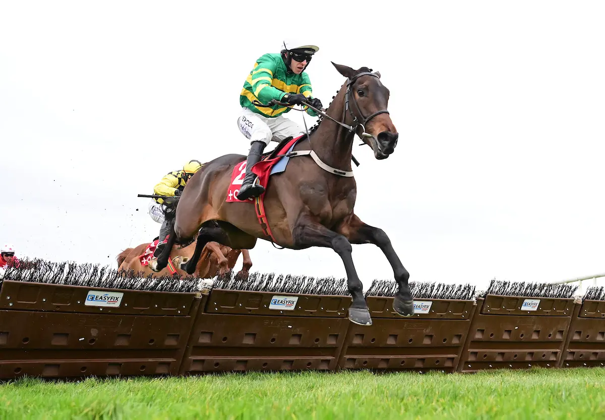 Proactif cut to 7-1 for Triumph after smooth debut win