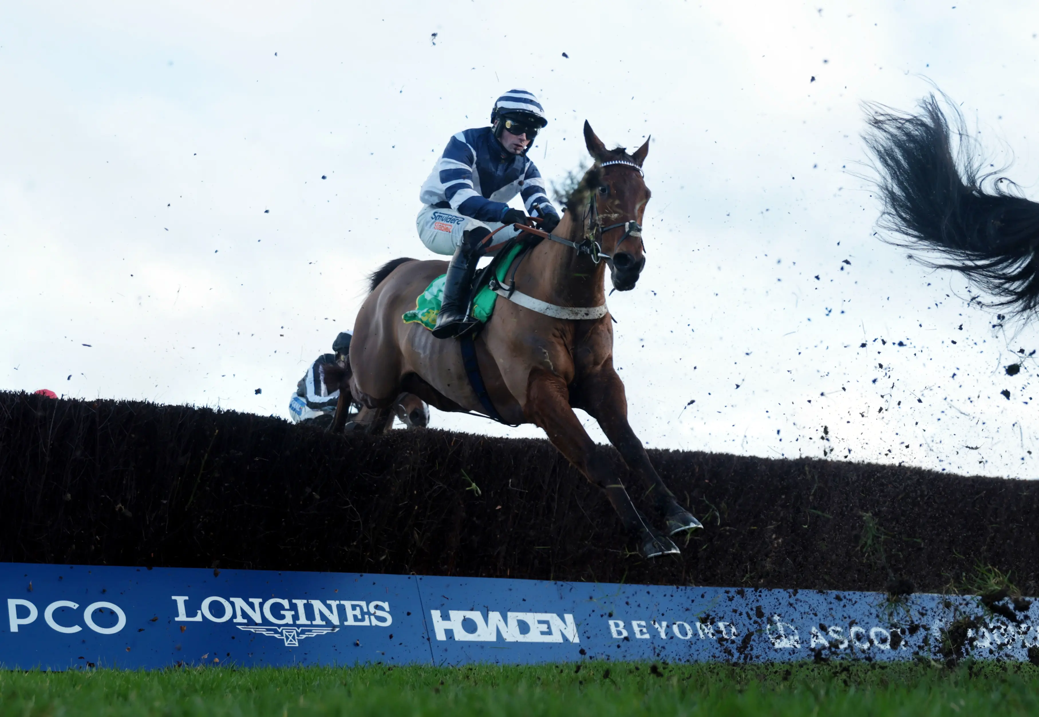 Vincenzo gains reward for string of consistent efforts