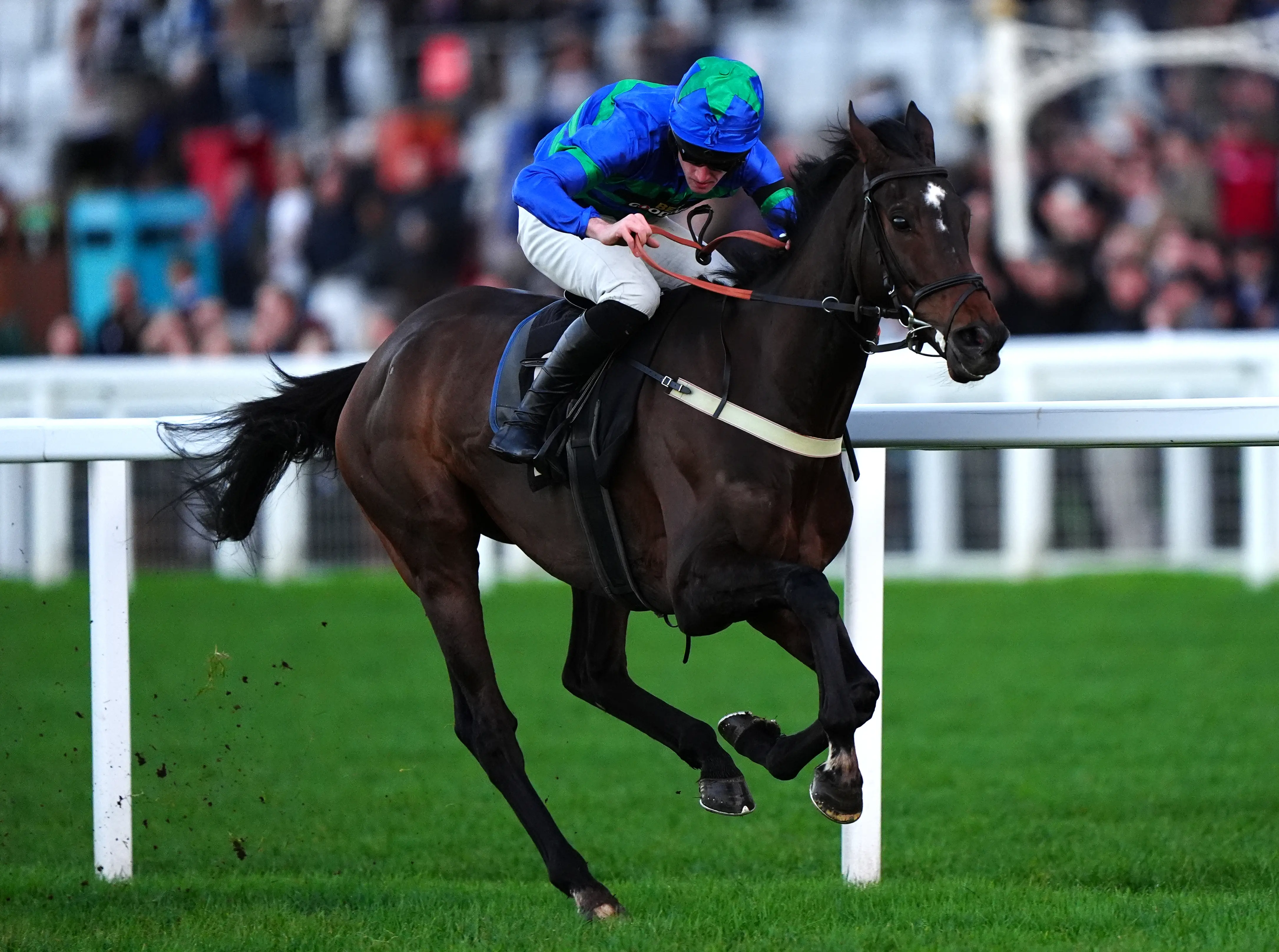Gordon looking to Newbury run with Bass Hunter