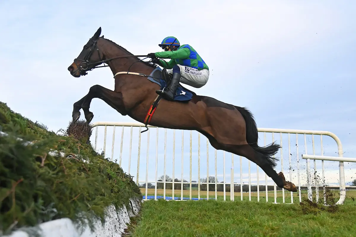 Thurles report: Appreciate It highlight of Townend treble