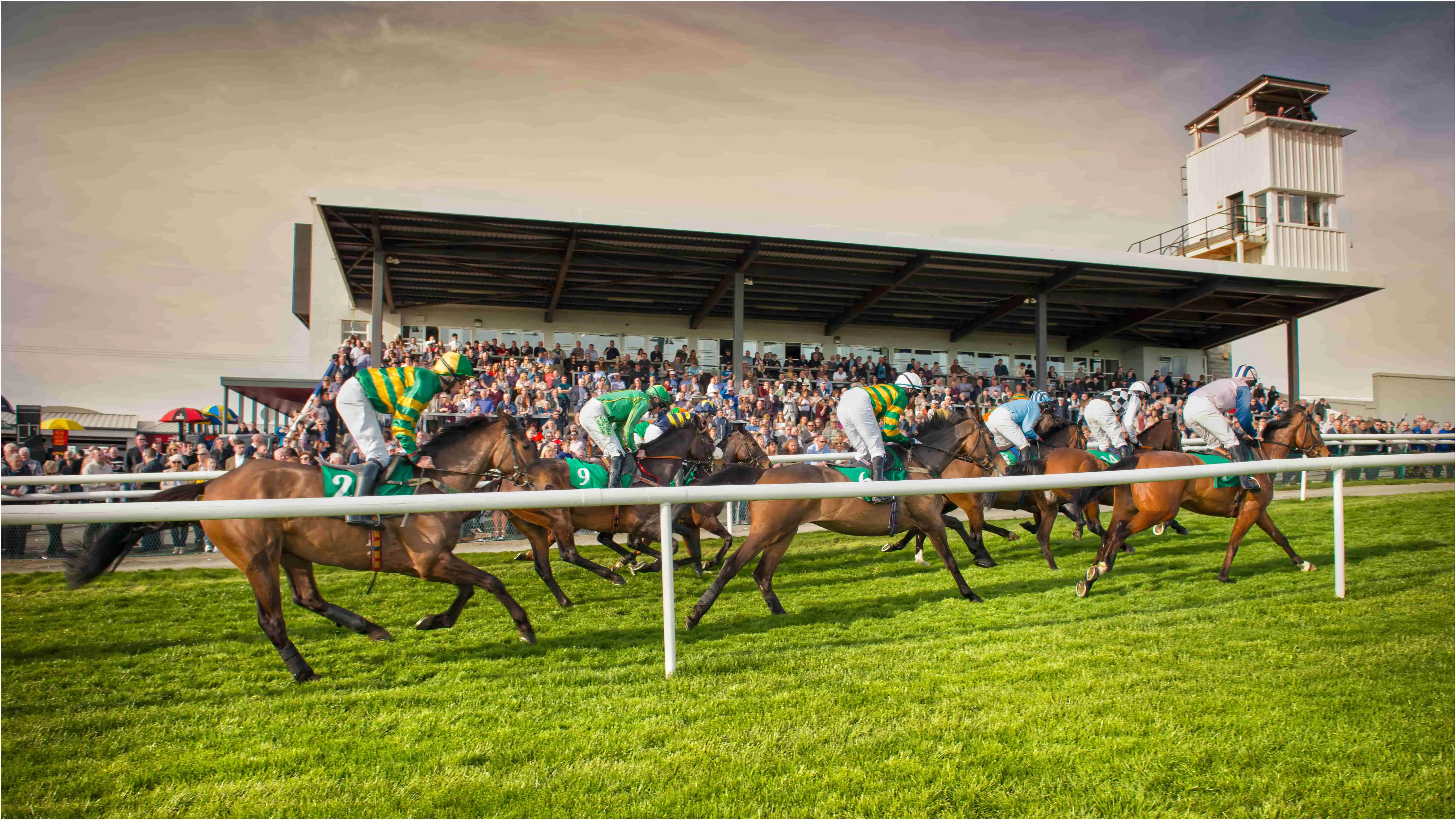 The Irish Angle: Johnny Ward's top tips for Downpatrick