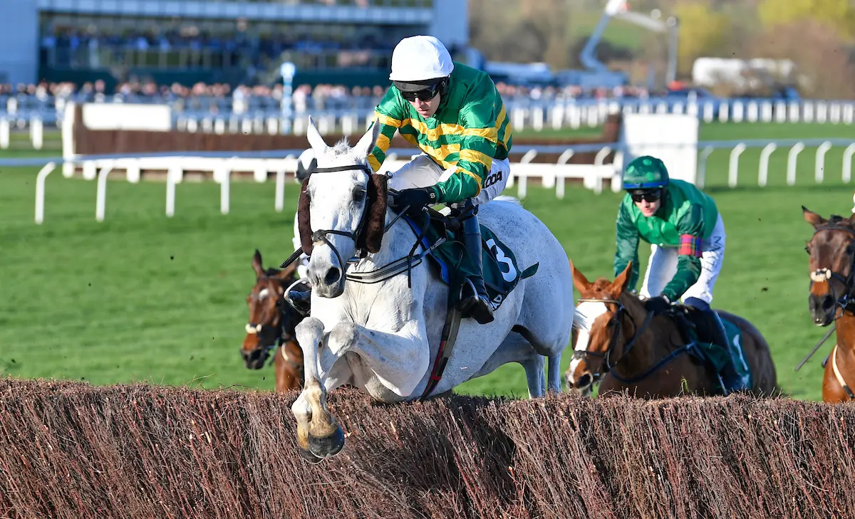 The Mares' Chase at the Cheltenham Festival: trends, stats and replays