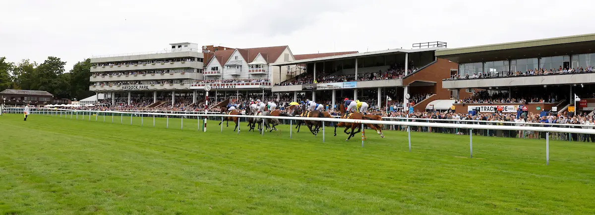 Guide to the Sky Bet 2023 Sunday Series courses: Haydock Park