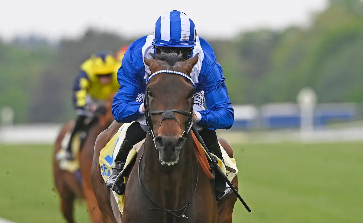 Al Aasy returns to his best with smooth Ascot victory