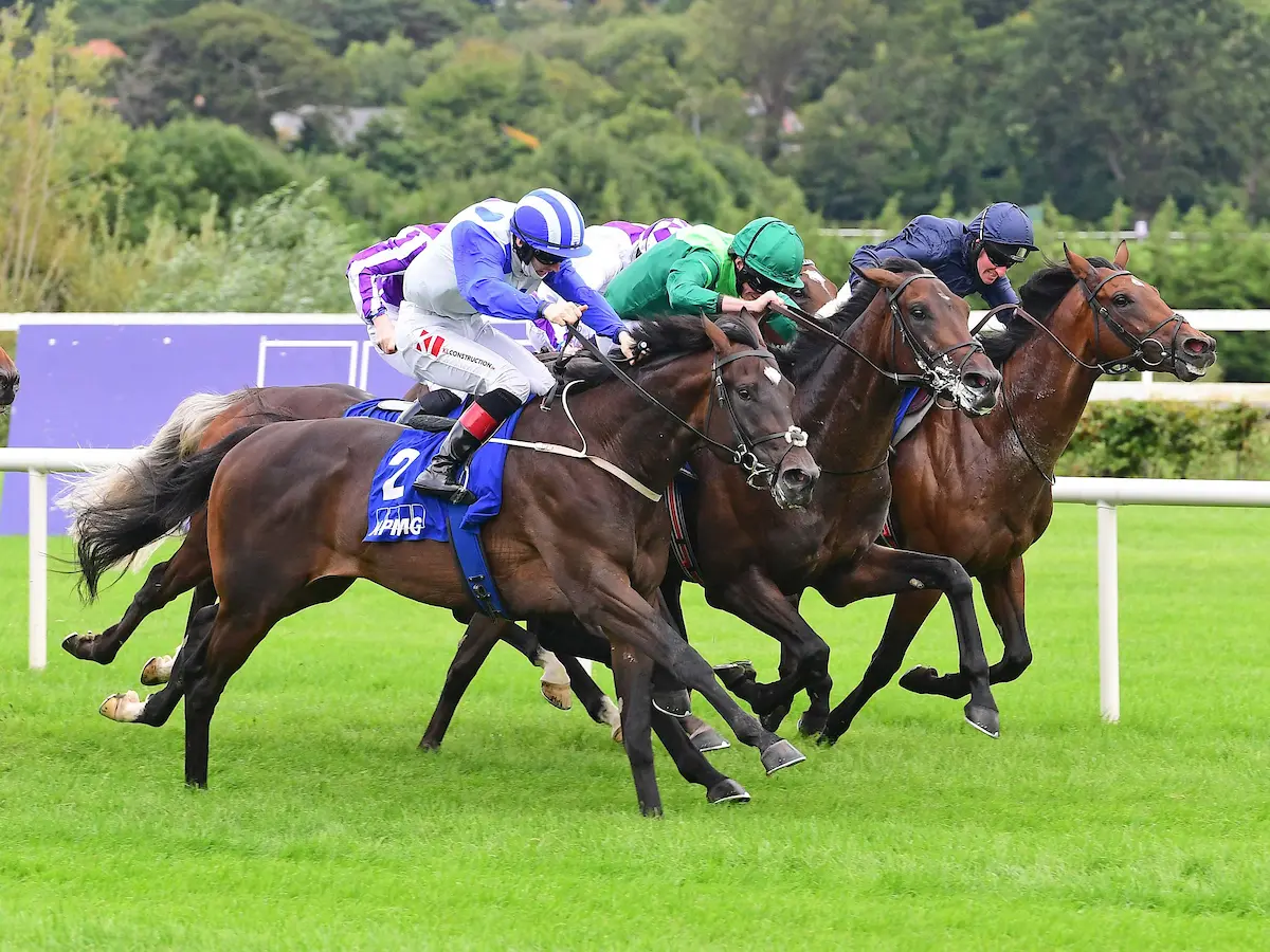 The Irish Angle: Johnny Ward's top tips for Leopardstown