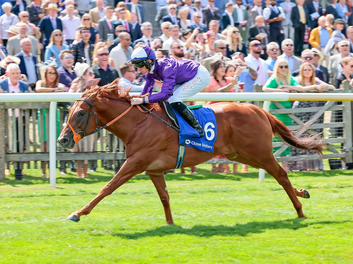 Hannon has Persian Force and Trillium primed for Newmarket