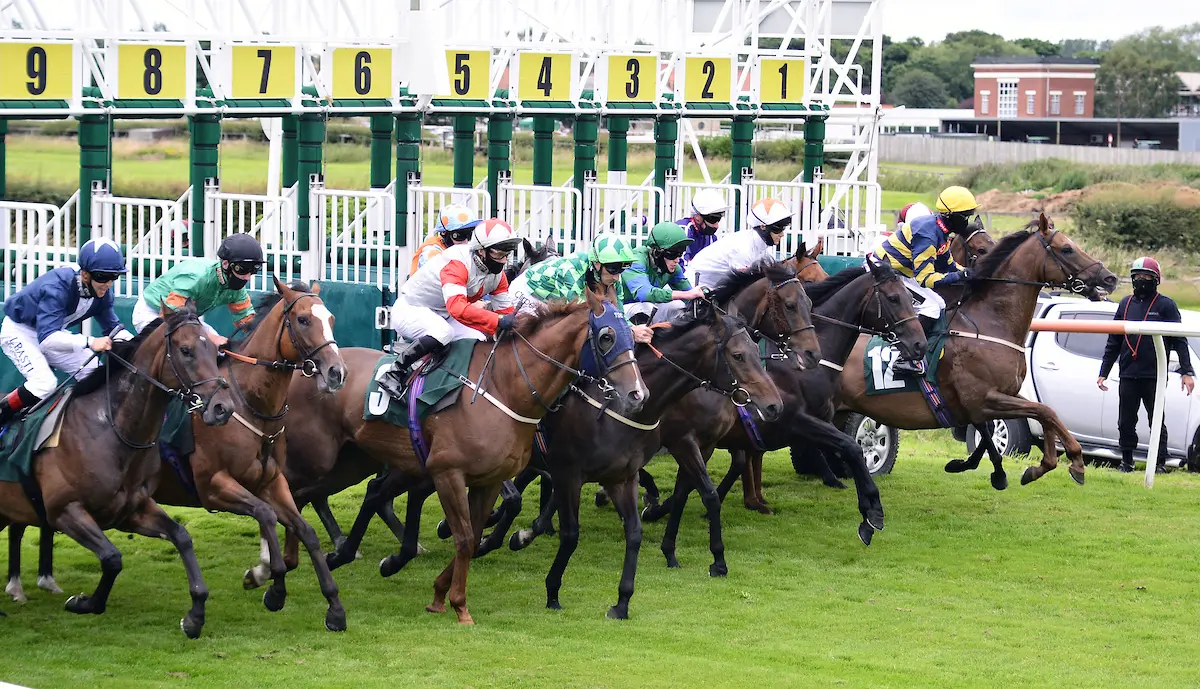 Monday racing tips: Andy Stephens shares his three best bets
