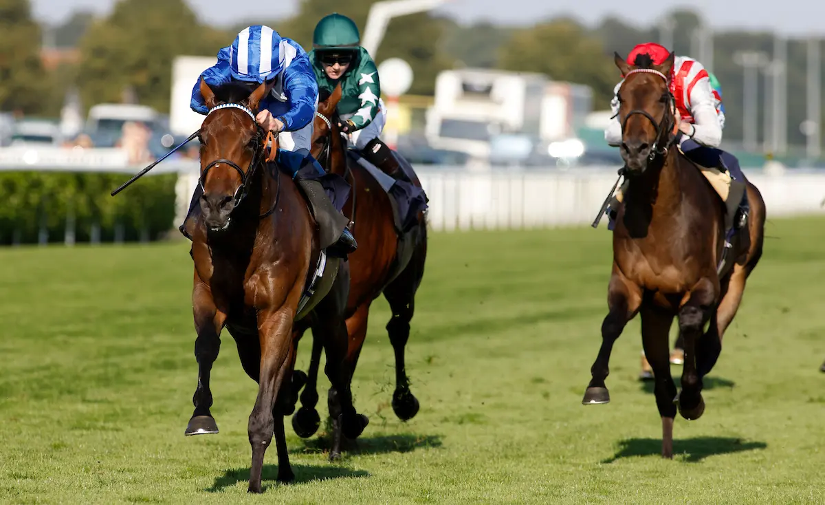 How To Bet £20 on Saturday: Burrows ace can bloom at Haydock